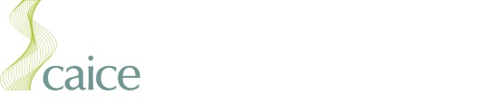 Caice Project Feedback